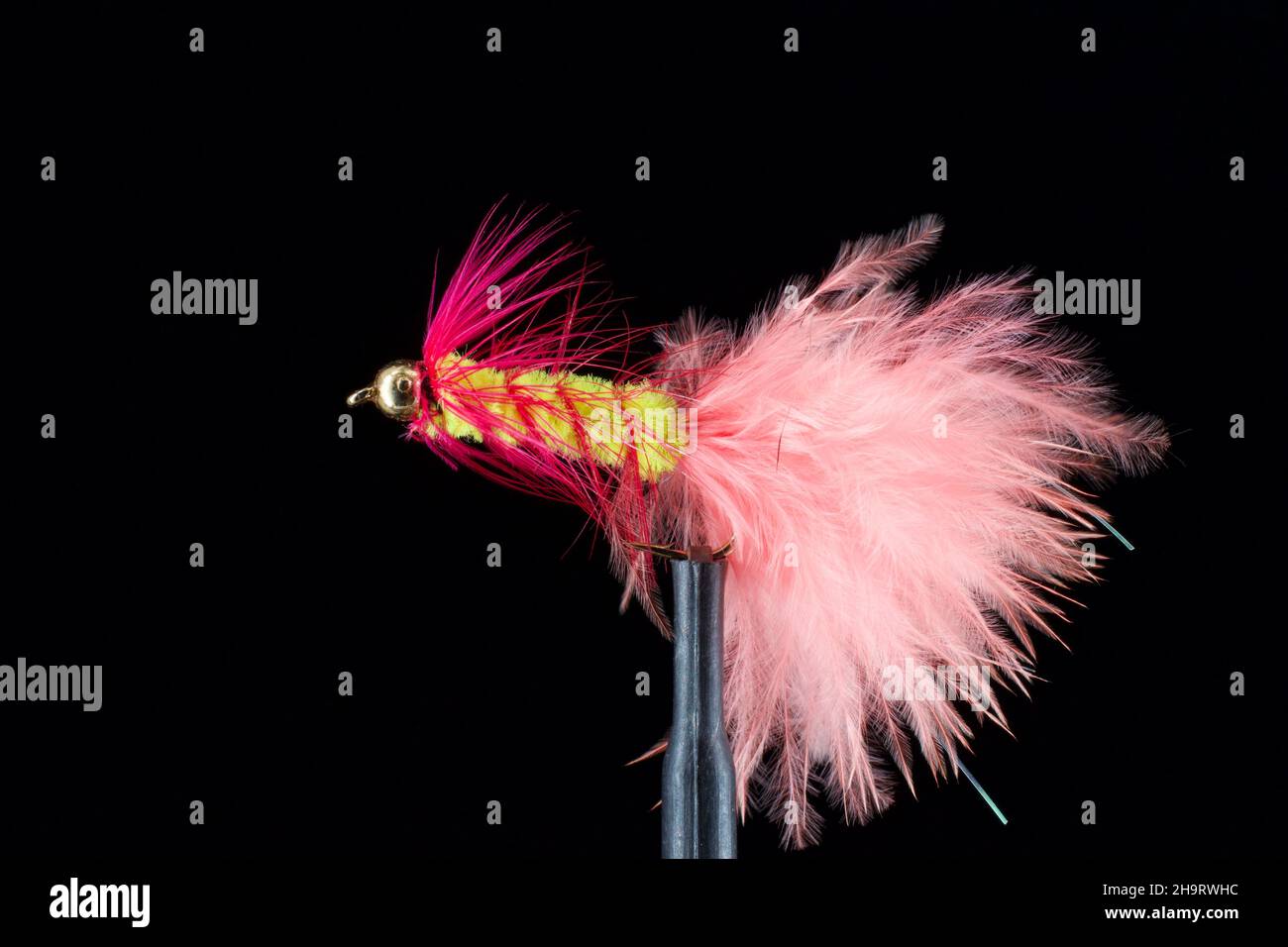 Fly Fishing Streamers Stock Photo - Alamy