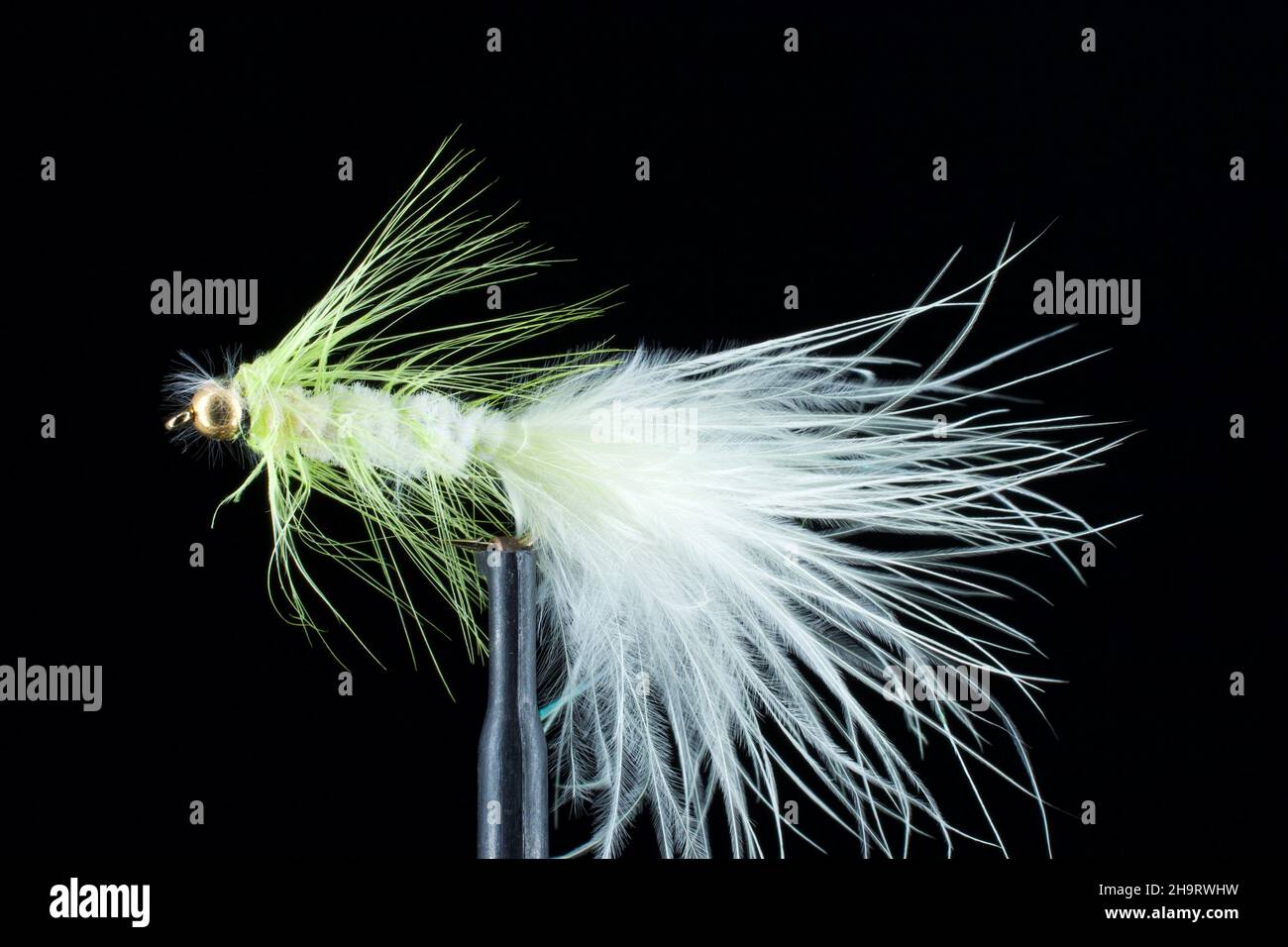 Fly Fishing Streamers Stock Photo - Alamy
