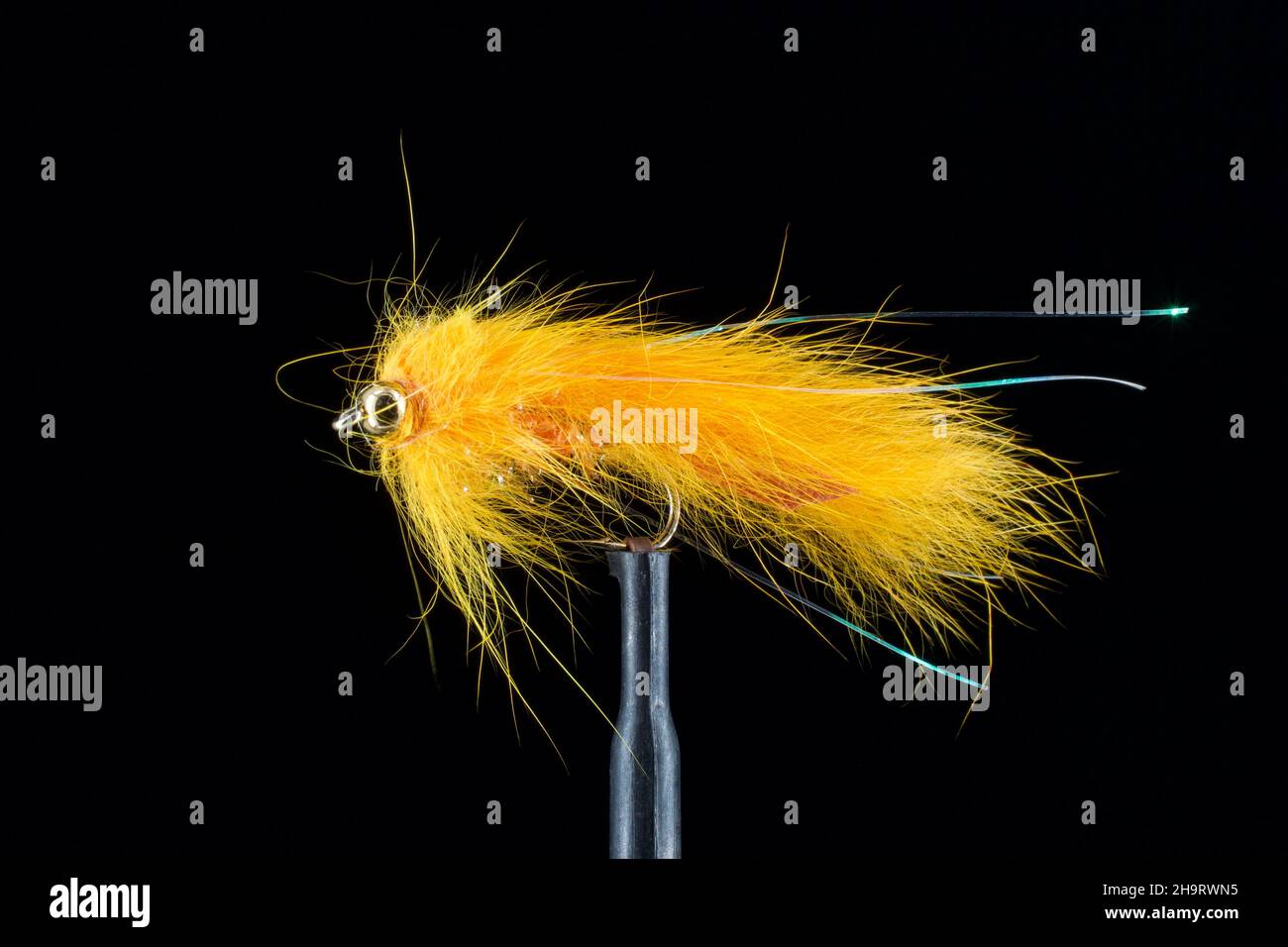 Fly Fishing Streamers Stock Photo - Alamy