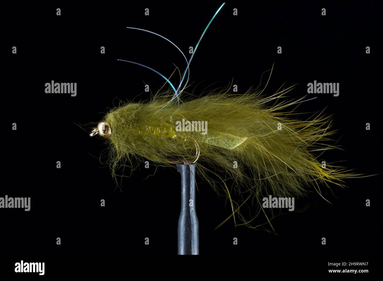 Fly Fishing Streamers Stock Photo - Alamy