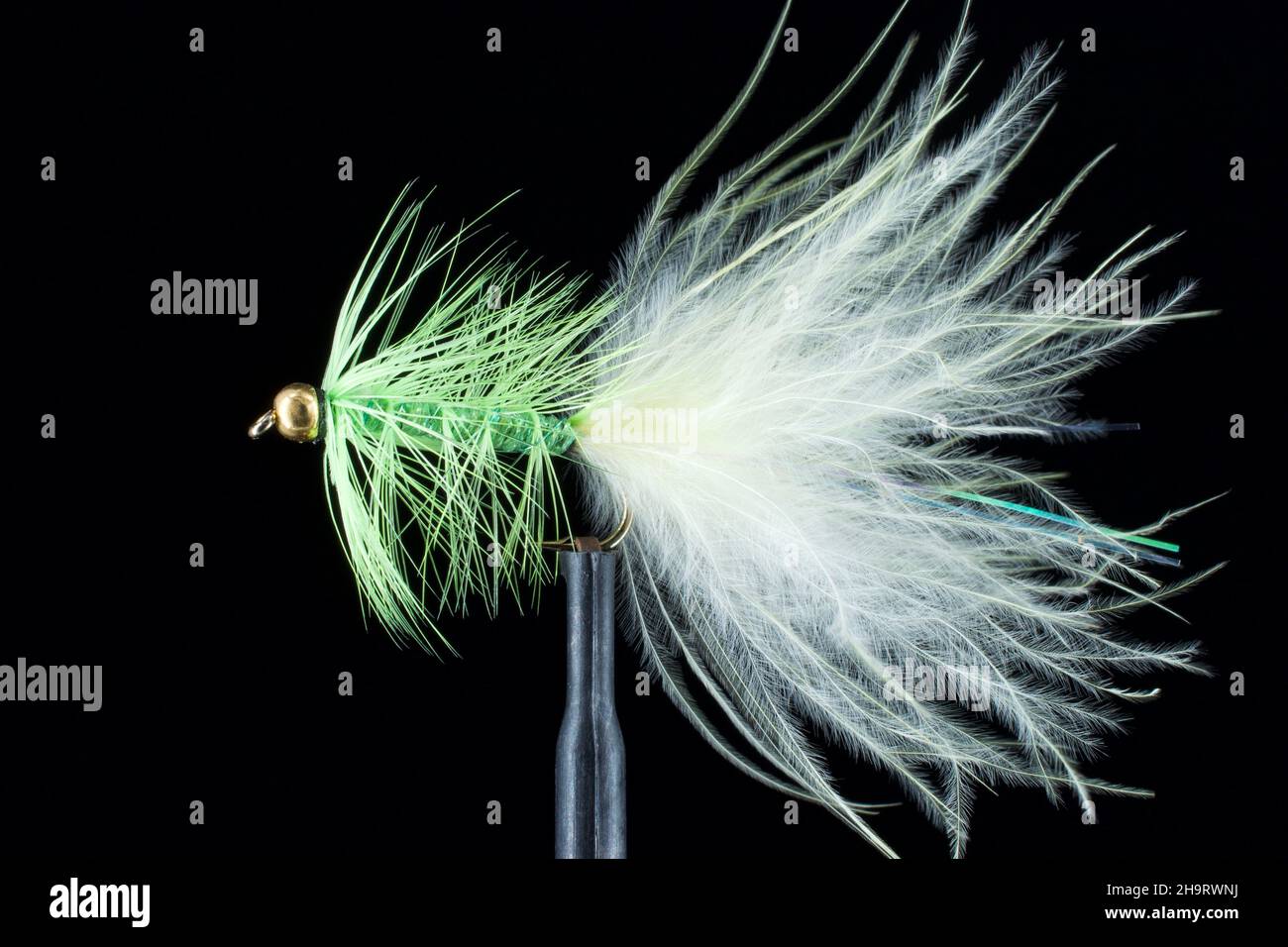 Fly Fishing Streamers Stock Photo - Alamy