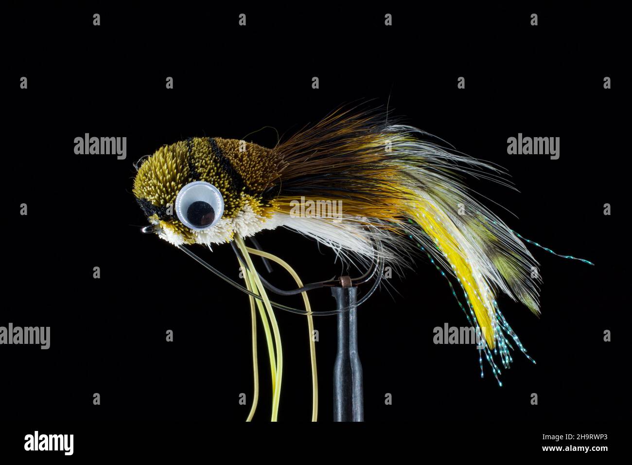Fly Fishing Streamers Stock Photo - Alamy