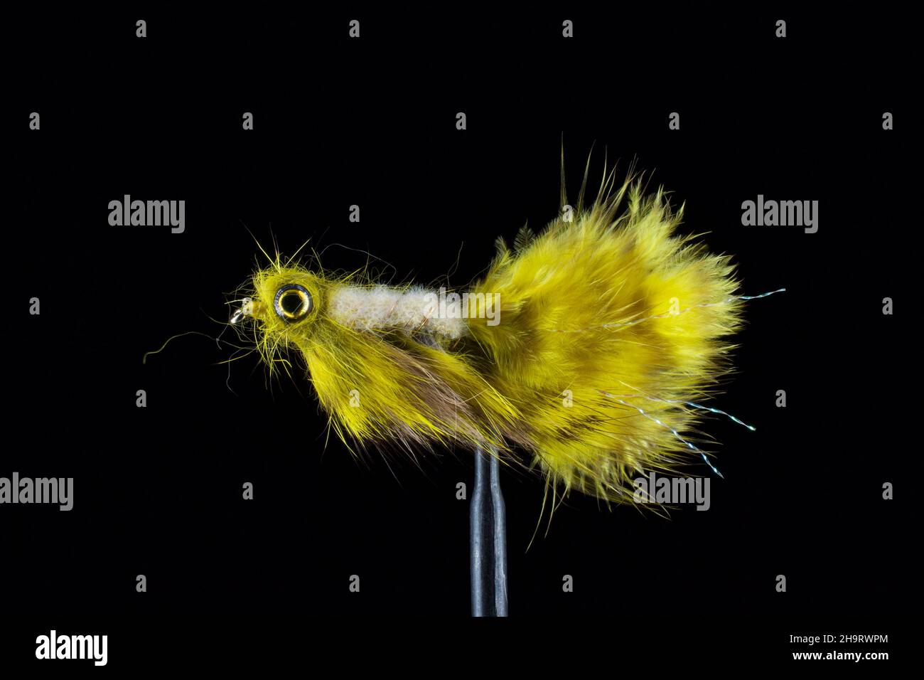 Fly Fishing Streamers Stock Photo - Alamy