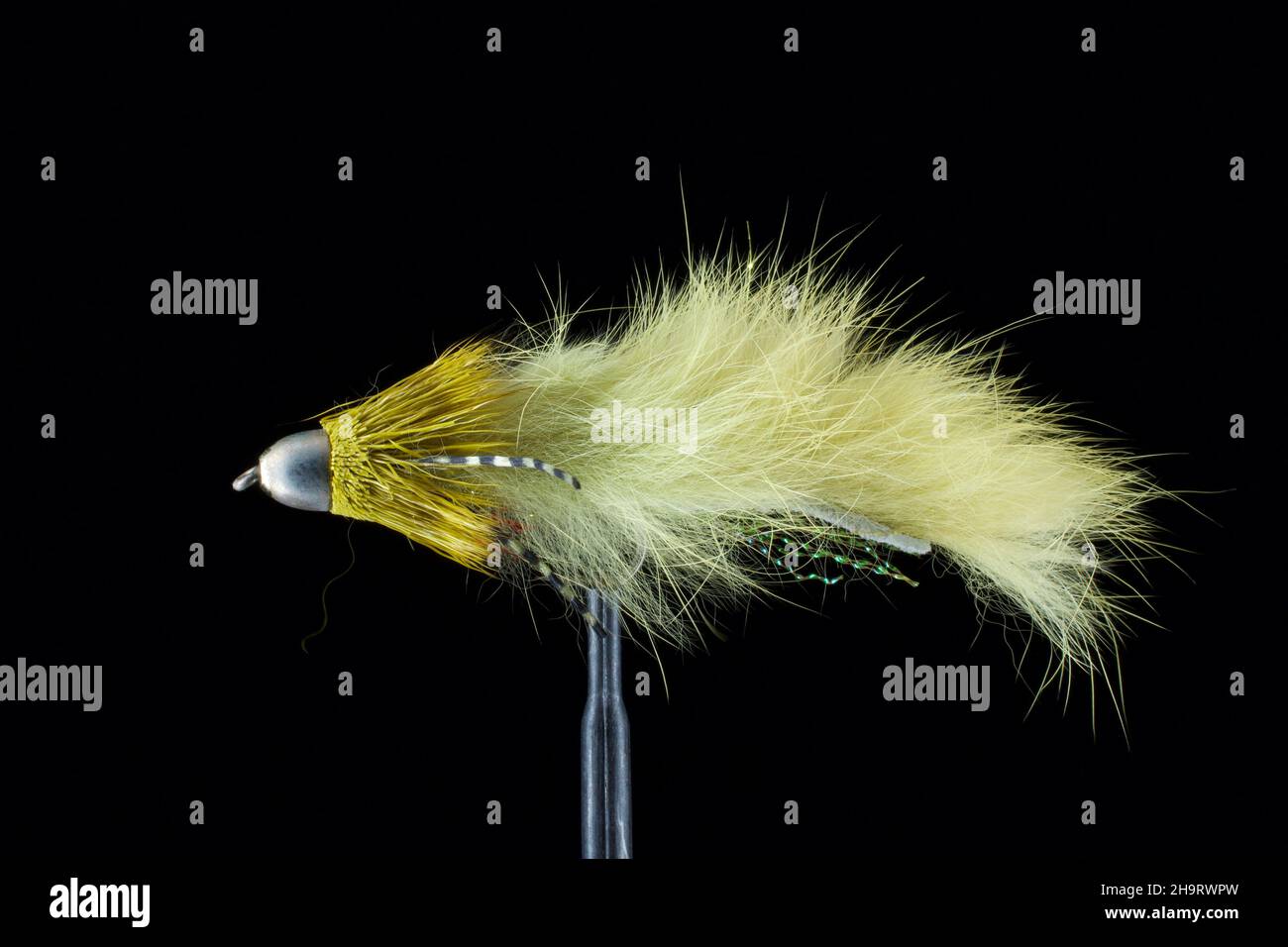 Fly Fishing Streamers Stock Photo - Alamy