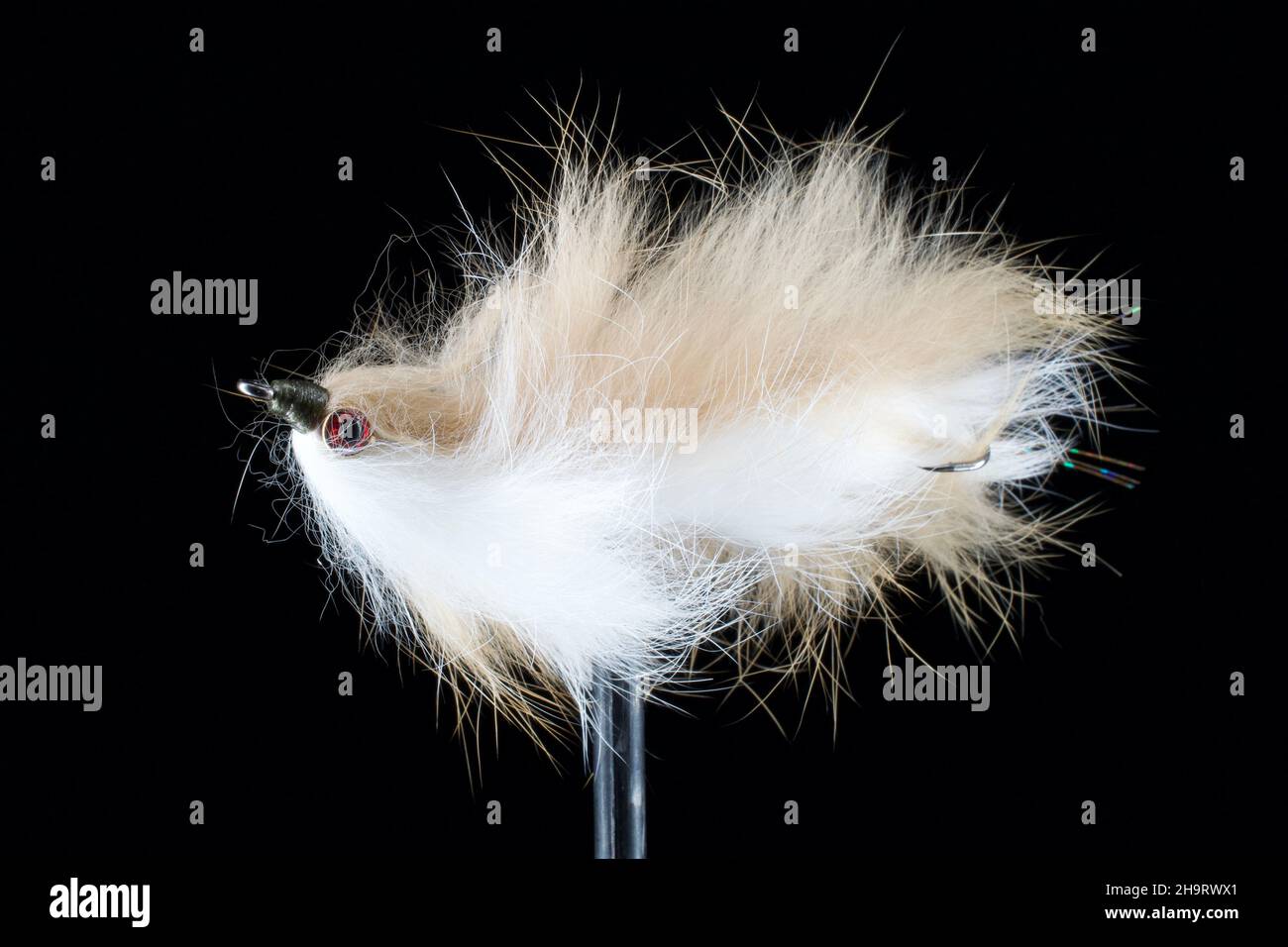 Fly Fishing Streamers Stock Photo - Alamy