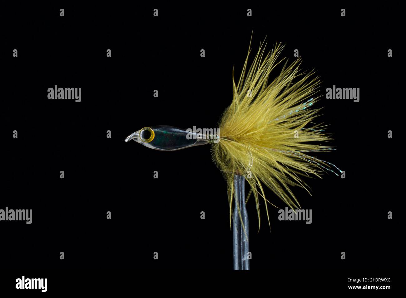 Fly Fishing Streamers Stock Photo - Alamy