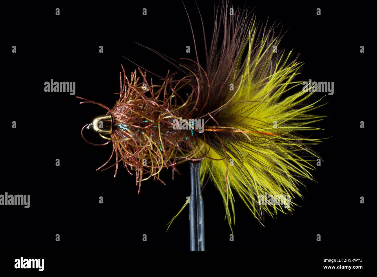Fly Fishing Streamers Stock Photo - Alamy