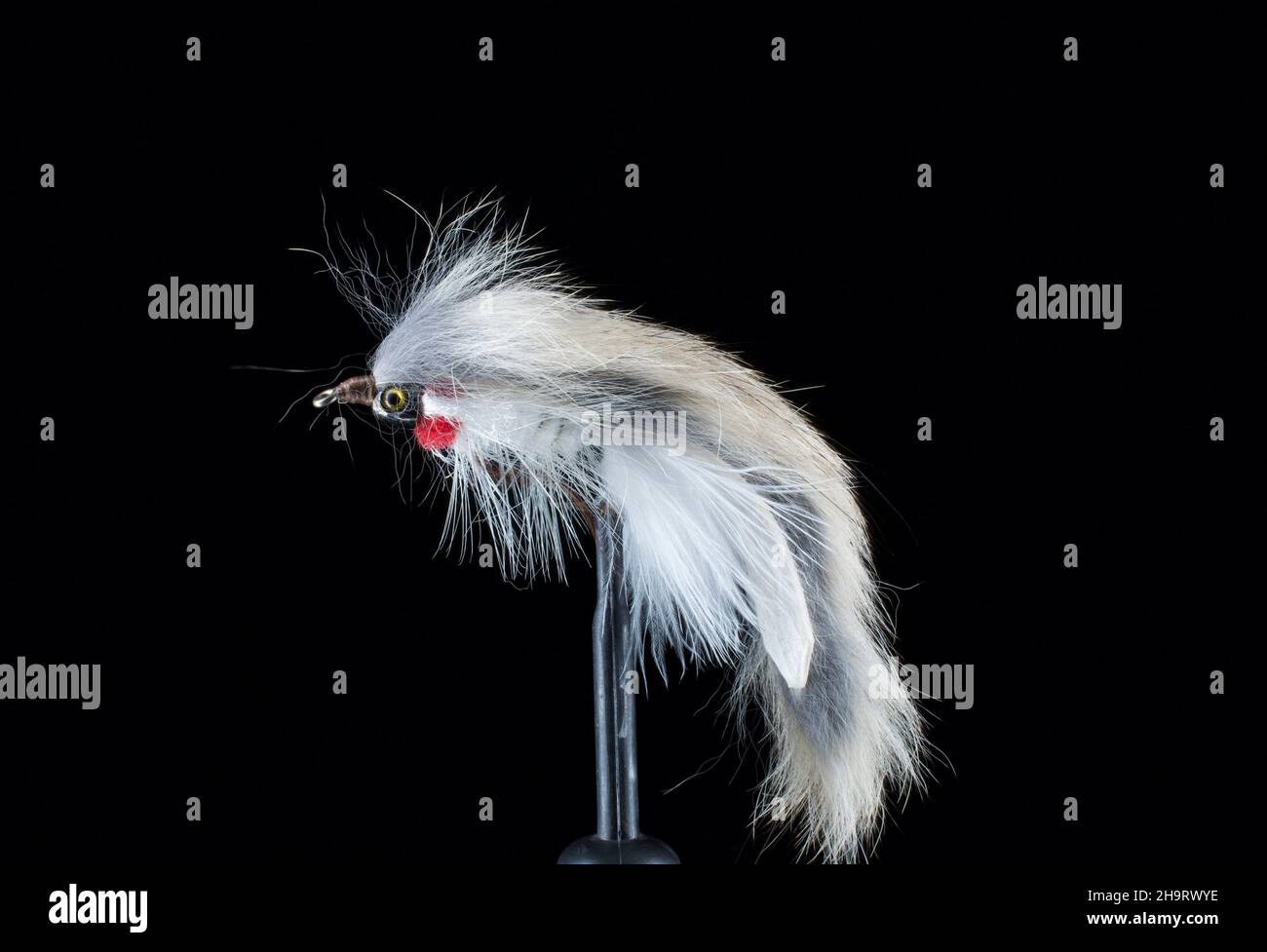 Fly Fishing Streamers Stock Photo - Alamy