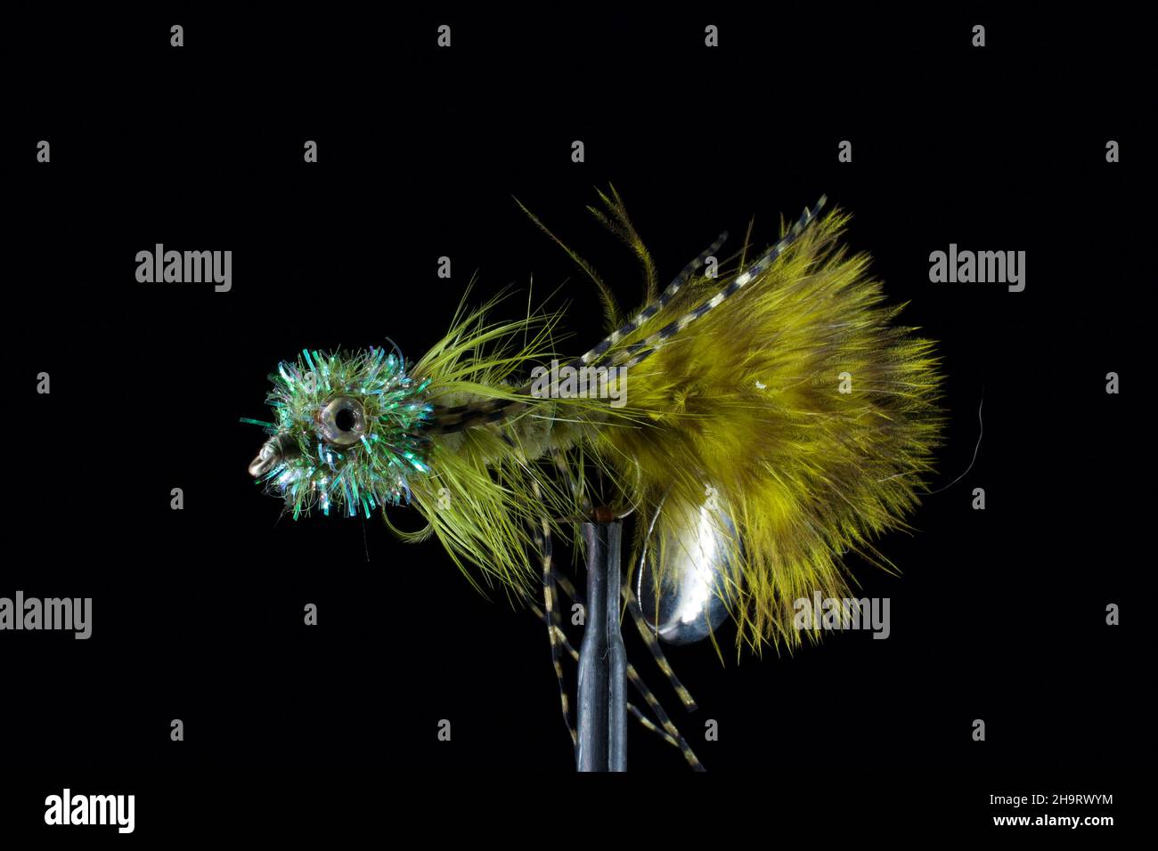 Fly Fishing Streamers Stock Photo - Alamy