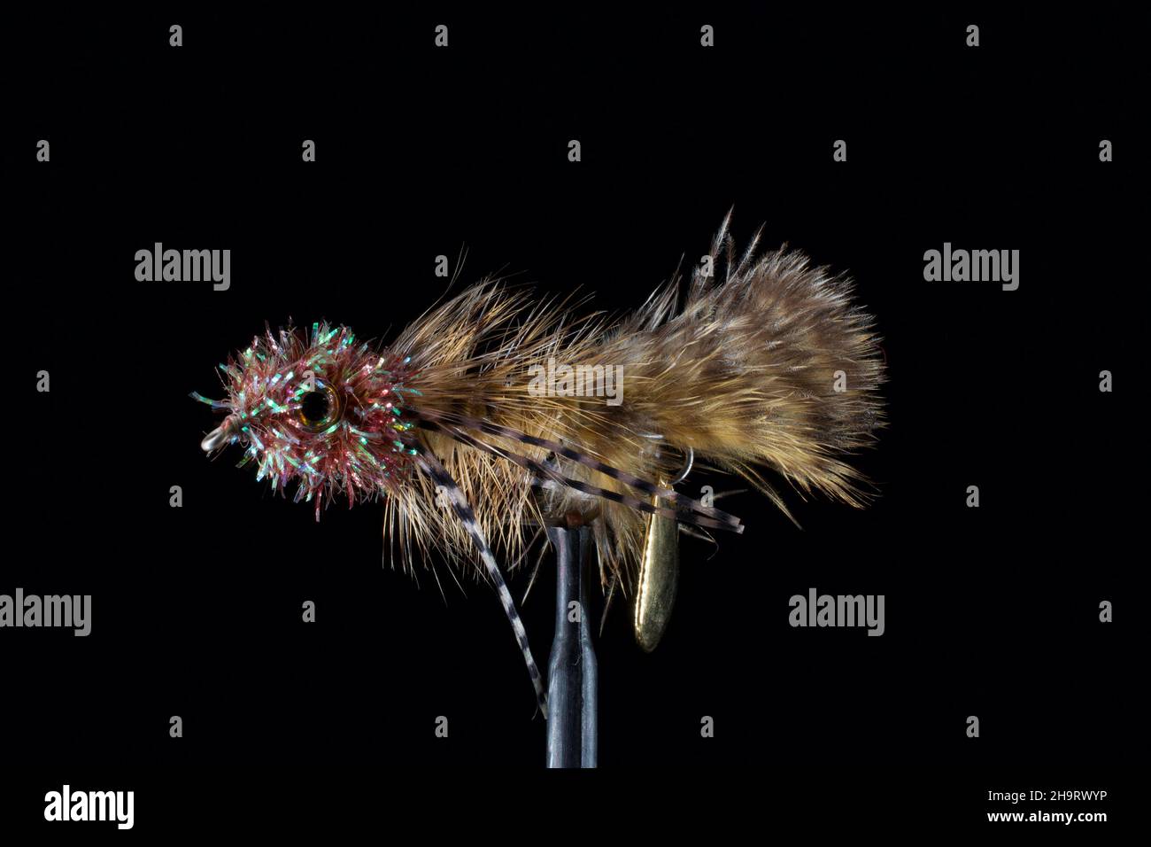 Fly Fishing Streamers Stock Photo - Alamy