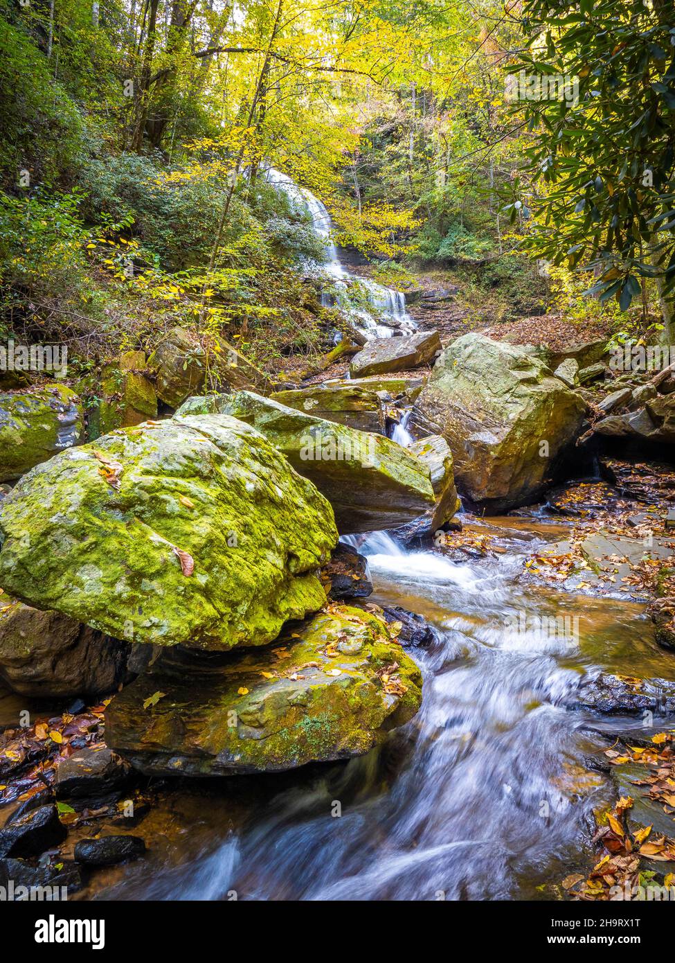 Waterfalls at Pearsons Waterfdall and Glen off NC Hwy. 176, between the ...