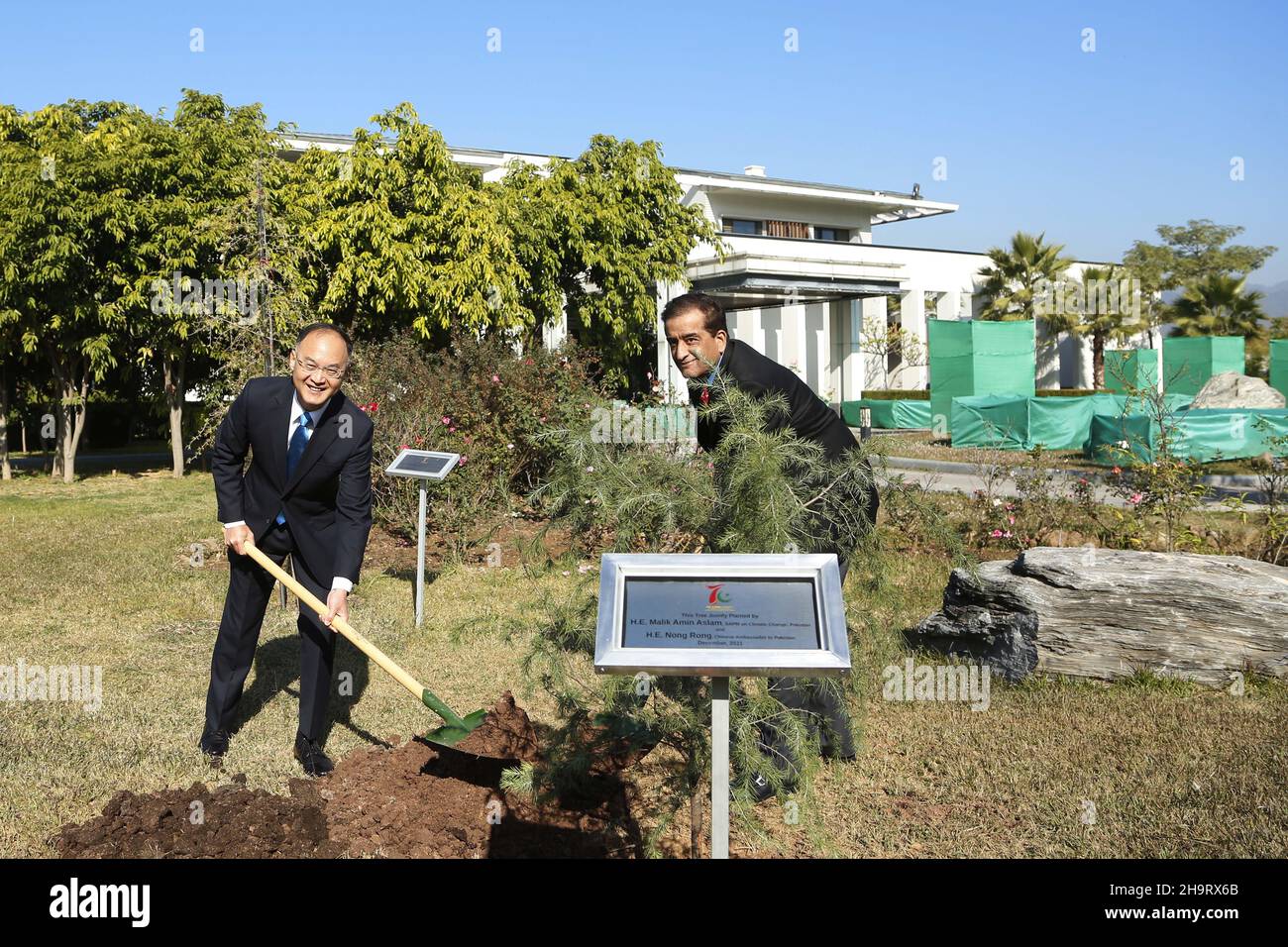 Billion tree tsunami hi-res stock photography and images - Alamy