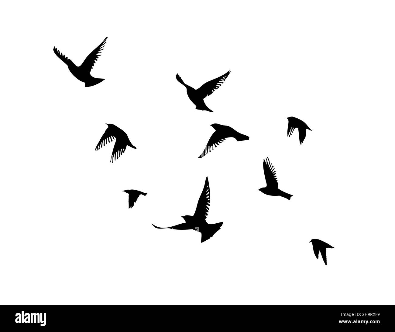 A flock of flying birds. Free birds. Vector illustration Stock Vector ...