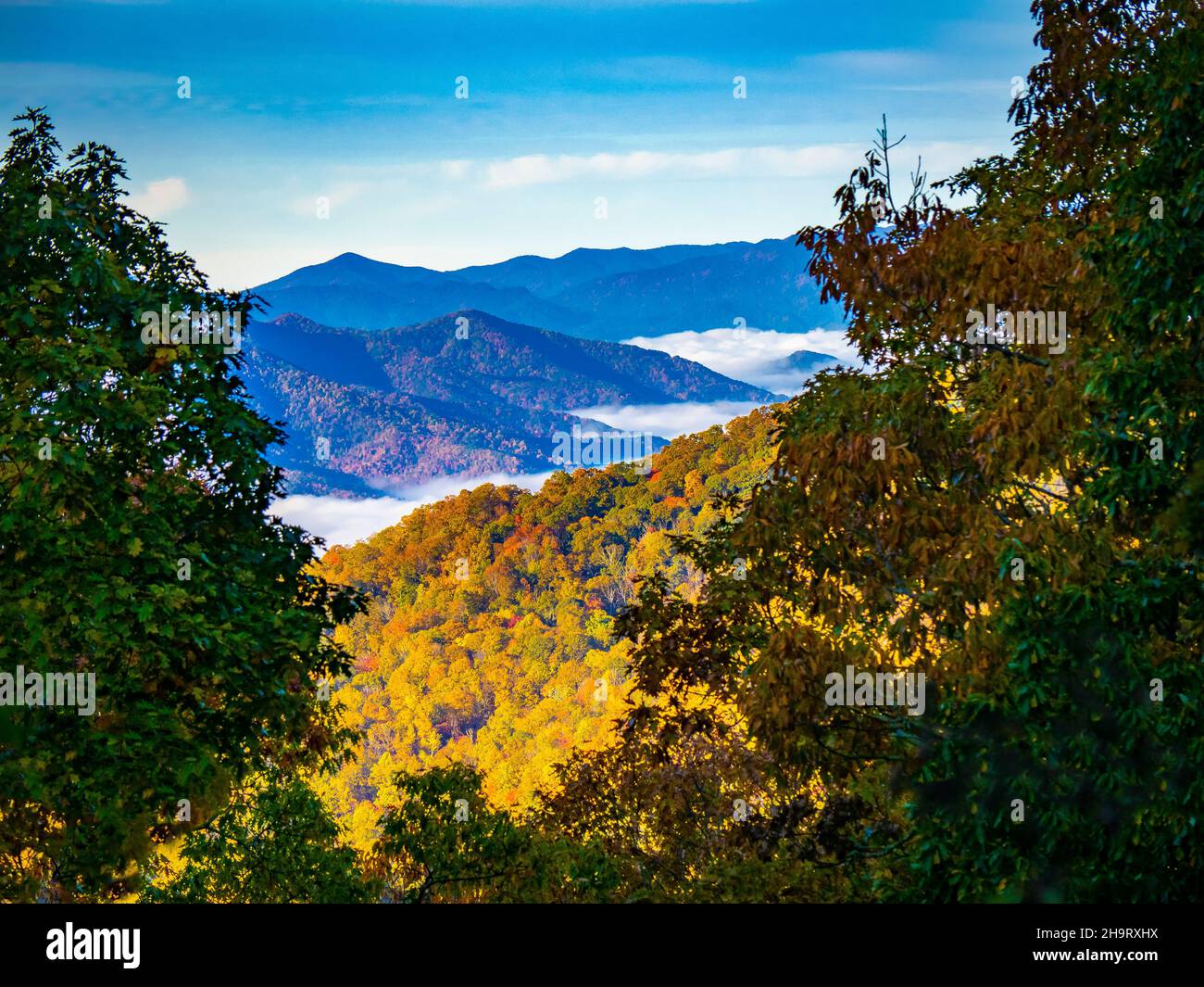 Morning fog in the Smoky Mountains from the Blue Ridge Parkway in North ...