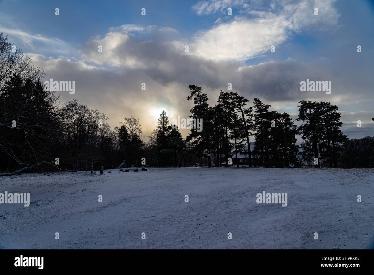 Blue sky in forest hi-res stock photography and images - Alamy