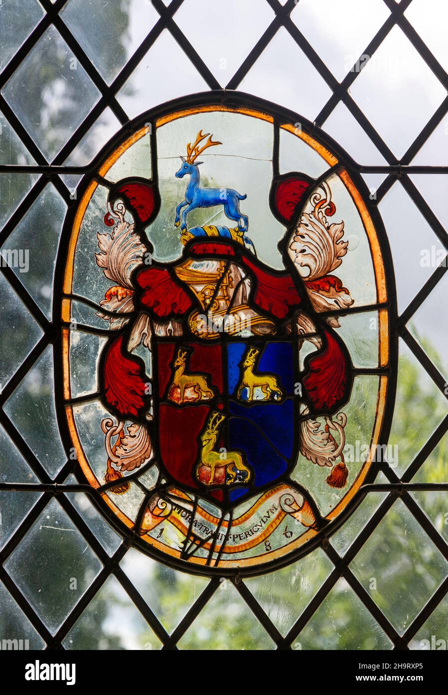 Stained glass roundel hi-res stock photography and images - Alamy