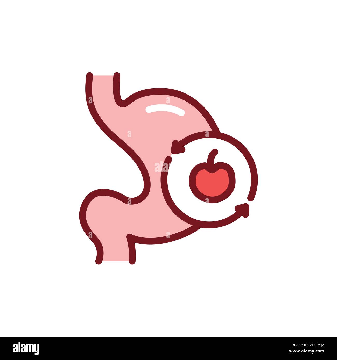 Chemical digestion Stock Vector Images - Alamy