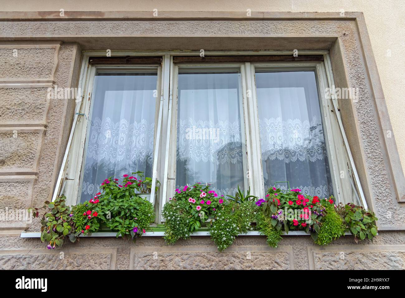 Natural Flowers Plants at House Window Sill Exterior Stock Photo - Alamy