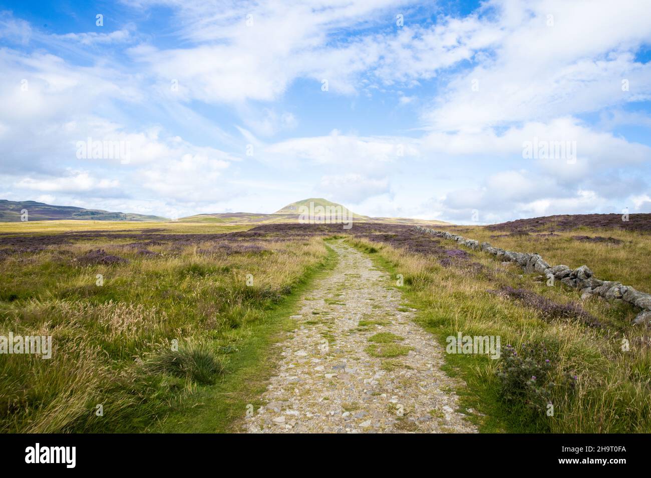 Scenic view of a path in the field on a cloudy sky background Stock ...
