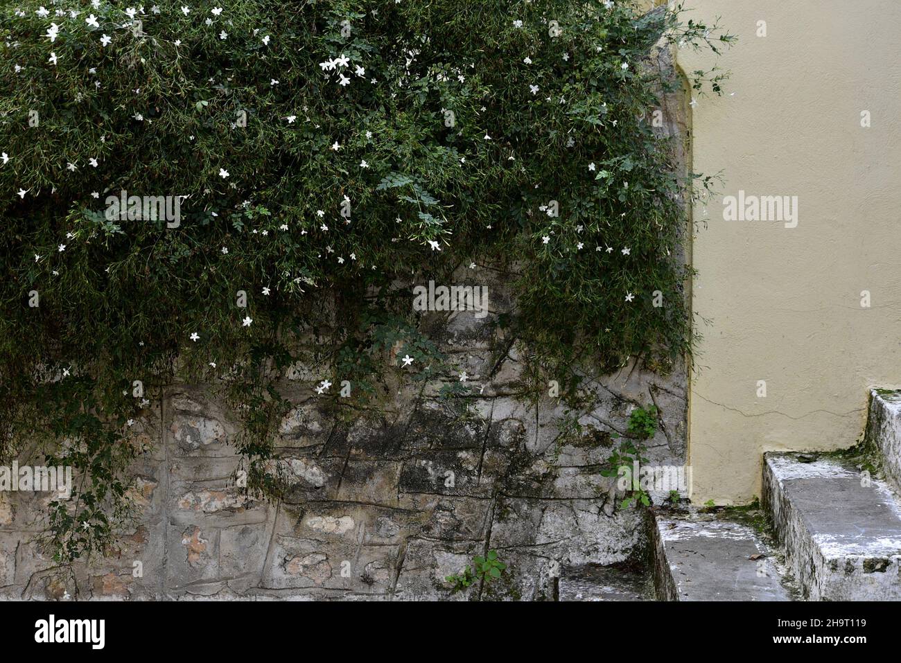 Traditional stone steps against a handcrafted stone wall with a ...