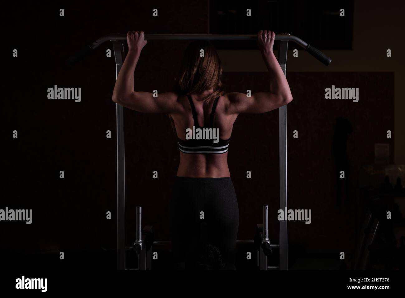 Back of athletic girl. gym concept. muscular fitness woman, trained ...