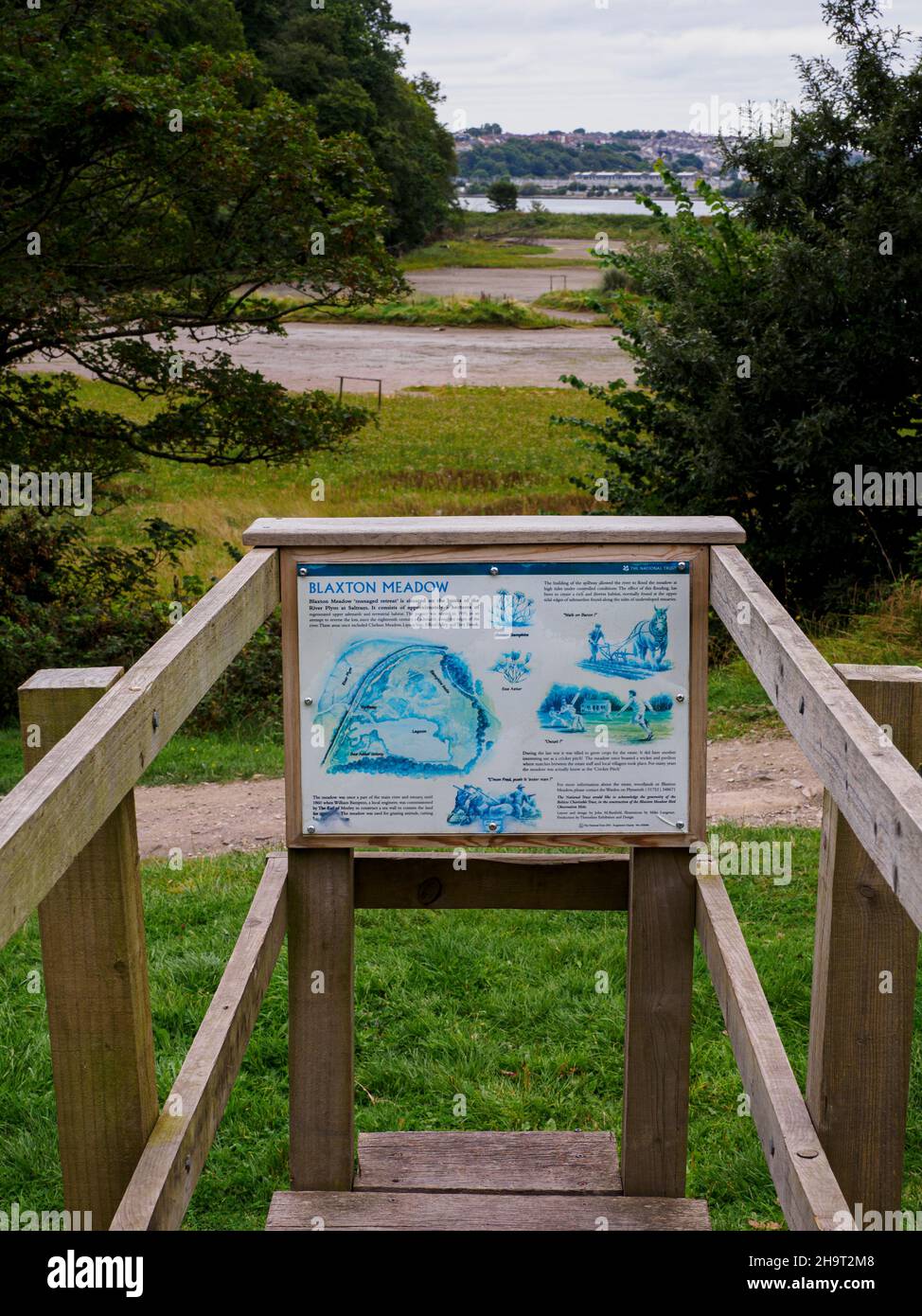 Blaxton Meadow, viewing platform and info board along the Plym Valley ...