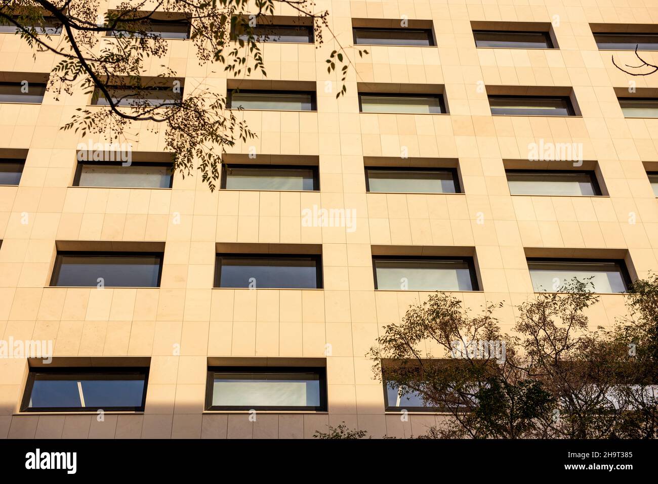 Detail of building showing windows and lines Stock Photo - Alamy