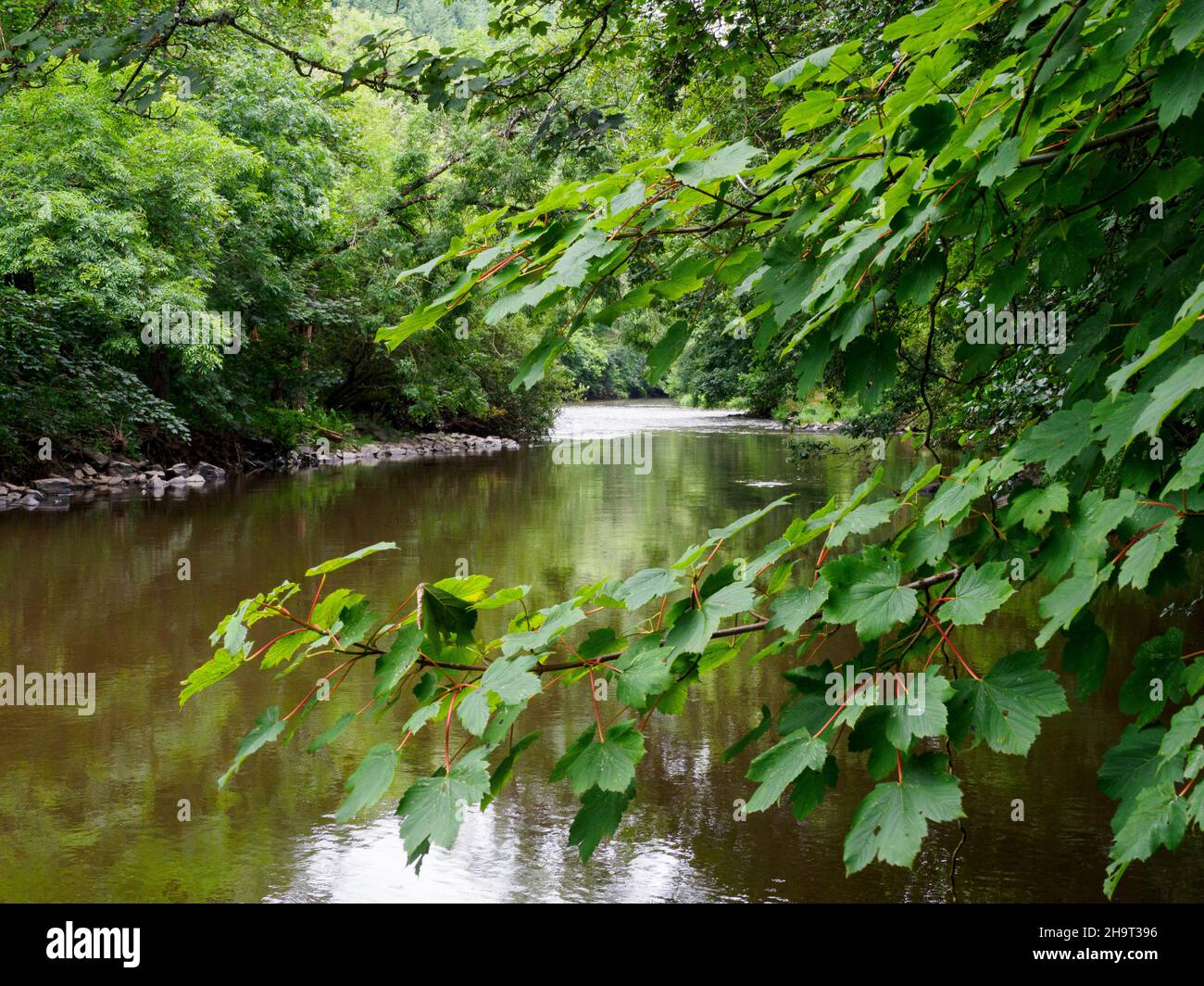 Beaford devon hi-res stock photography and images - Alamy