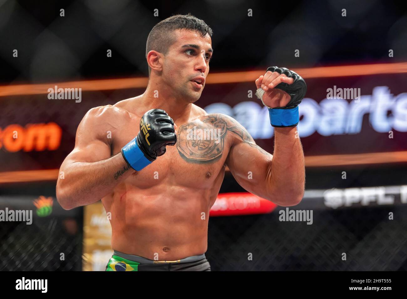 2021 PFL World Championship. MMA's biggest night. 6 World Title Fights ...