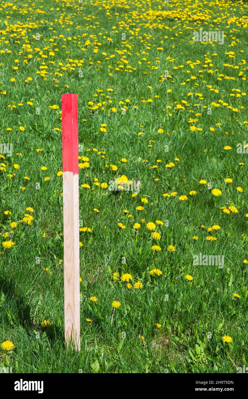 Surveyor's stake hi-res stock photography and images - Alamy