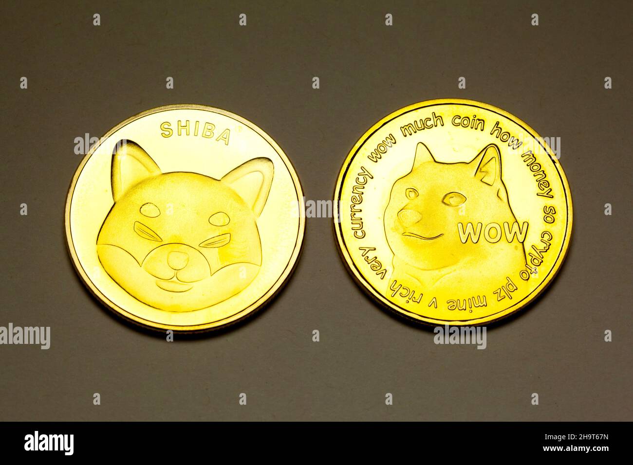 Shiba Inu and Doge coin meme cryptocurrency coins Stock Photo - Alamy