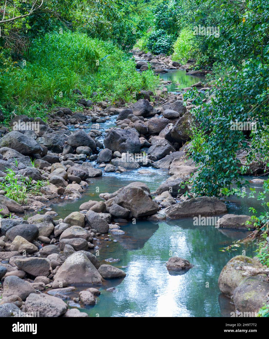 Stream with large rocks running through tropical rainforest Stock Photo ...