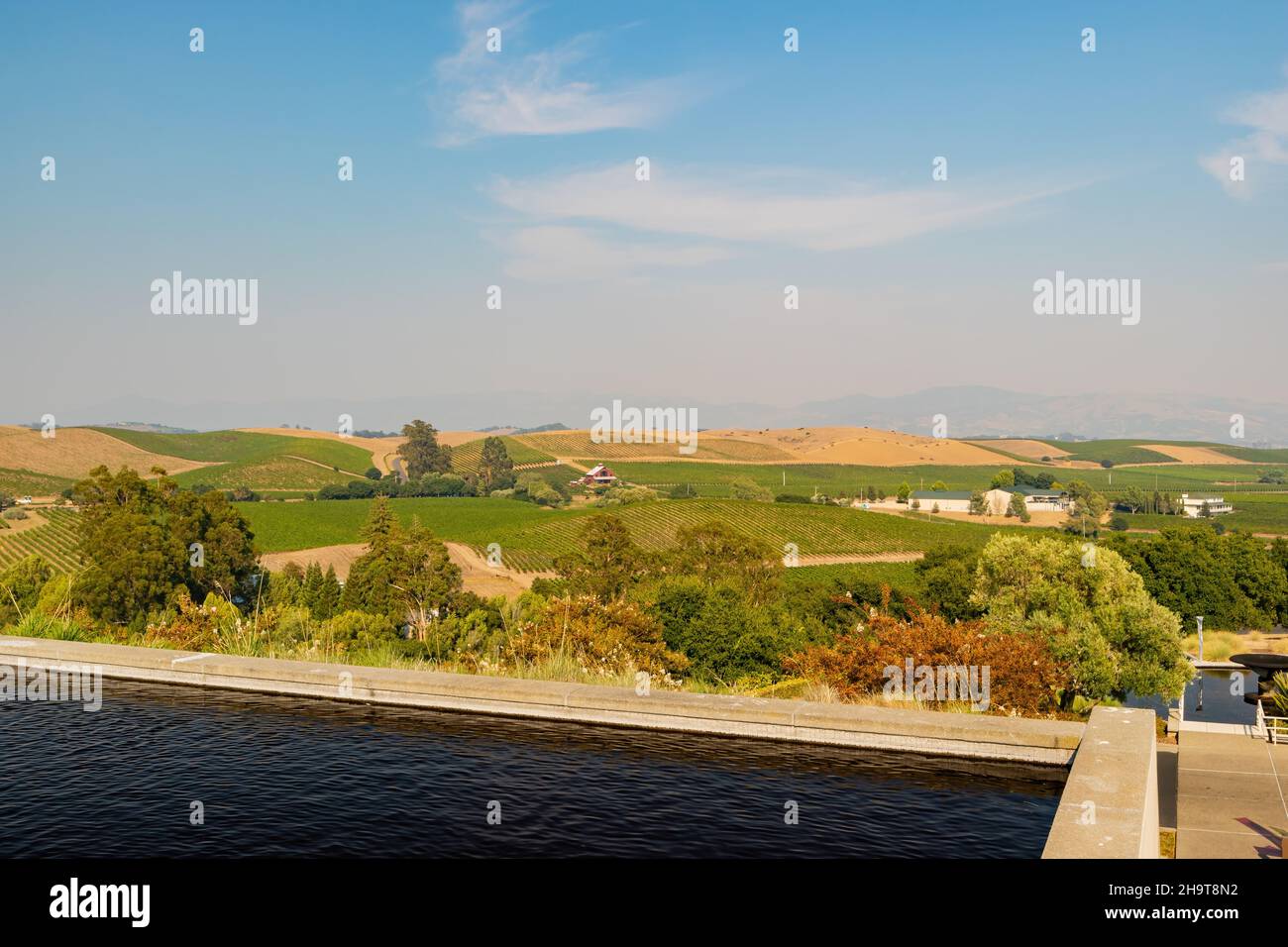 Sunny view of the grapes farm of Napa Valley at San Francisco ...