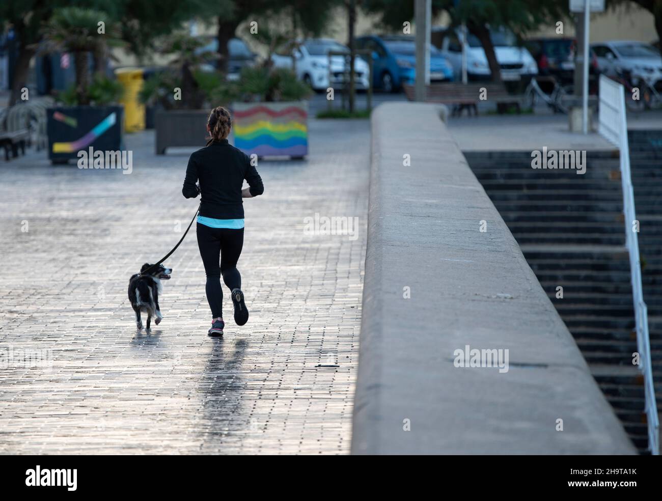 Woman jog dog hi-res stock photography and images - Alamy