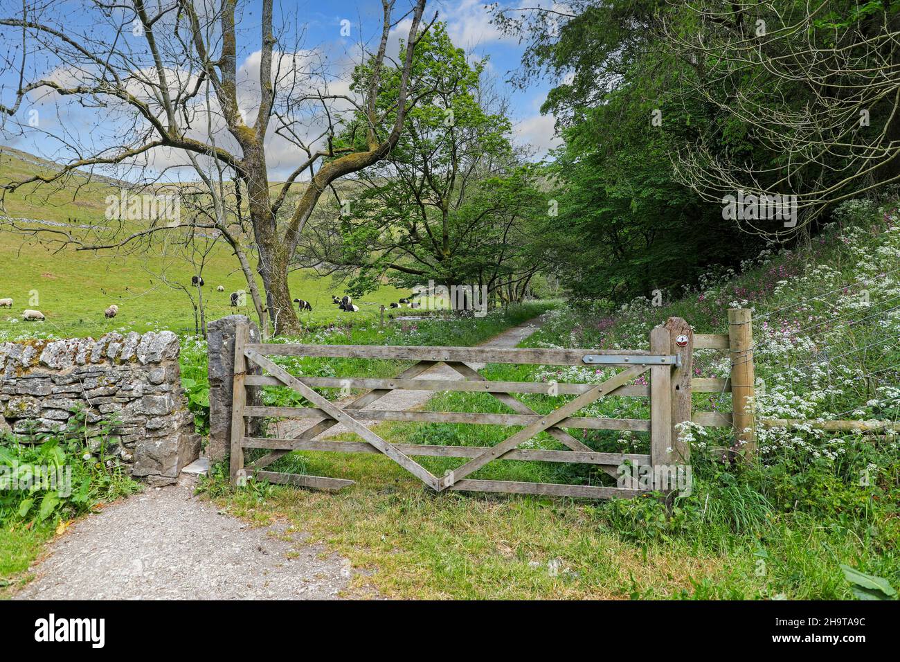 A gate, dry stone wall and stile in Wolfscote Dale on the Staffordshire ...