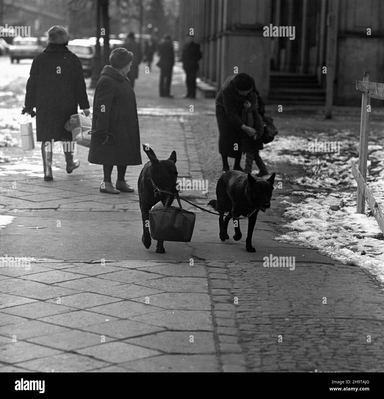 Pomocnicy Black and White Stock Photos & Images - Alamy