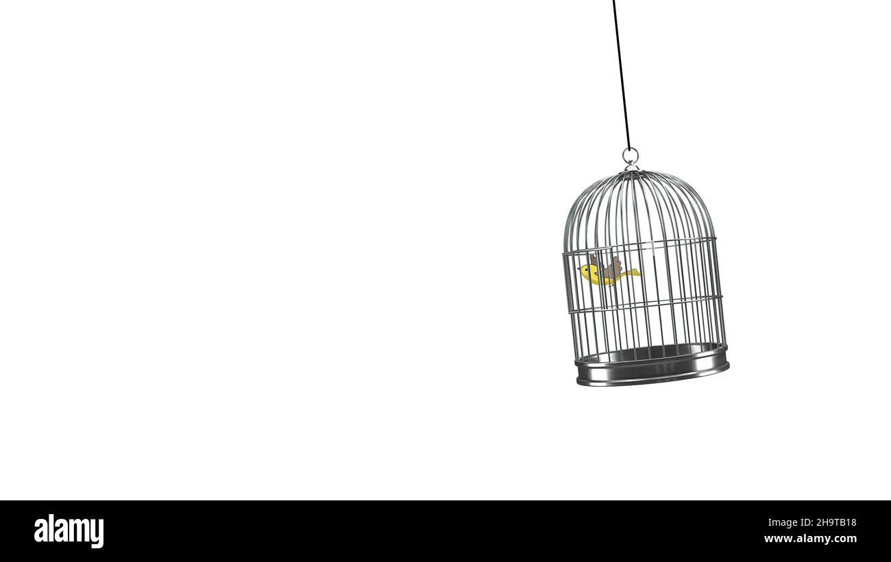 Bird Flying Away From Cage