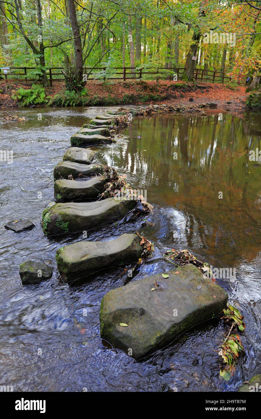 Stepping stones across the River Don on the Upper Don Trail, Forge ...