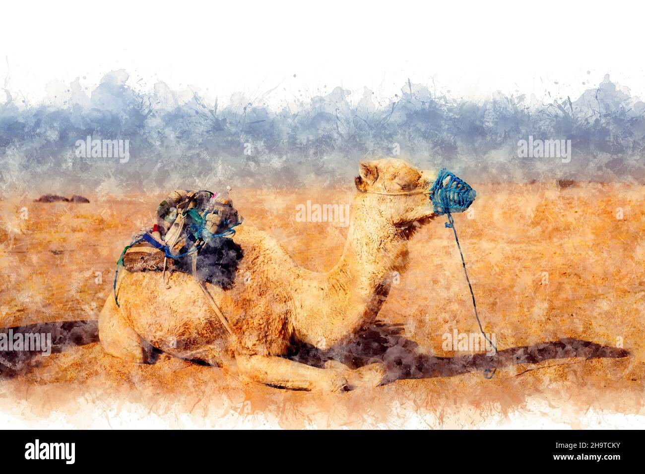 Watercolor drawing. Dromedary Camel sits on the sand in the Sahara ...