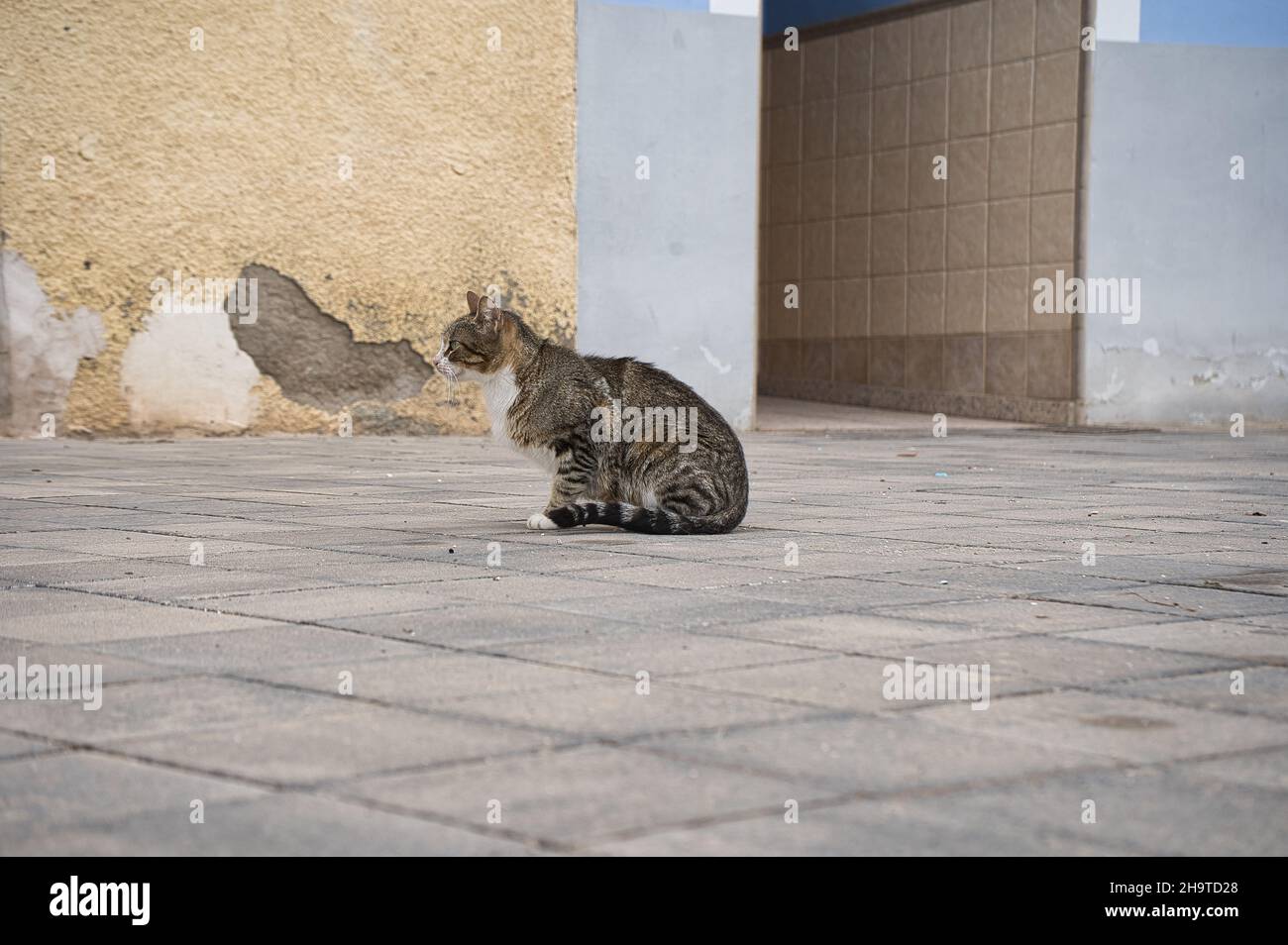 Crouching exterior hi-res stock photography and images - Alamy