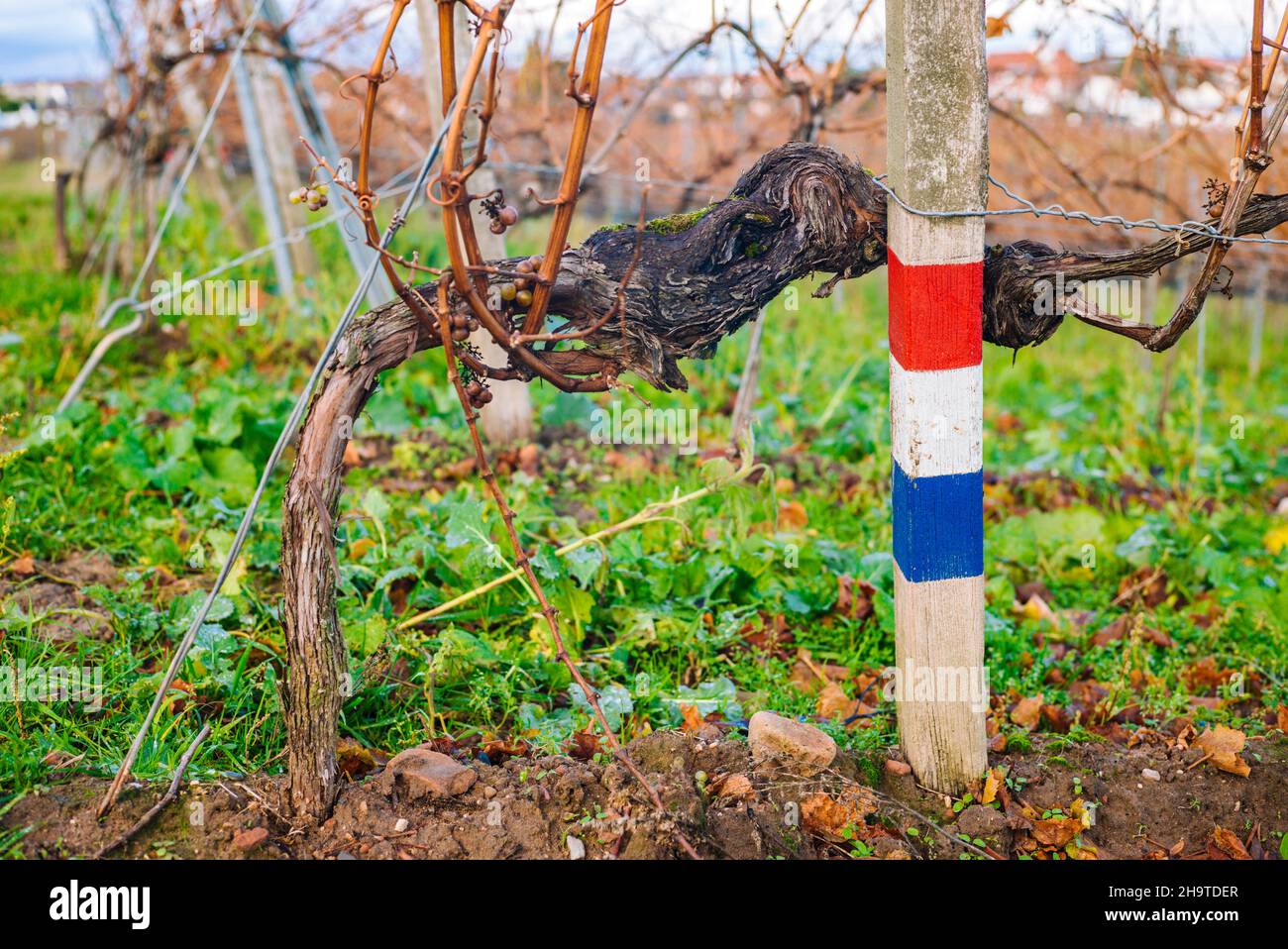 Treasure hunt painting hi-res stock photography and images - Alamy