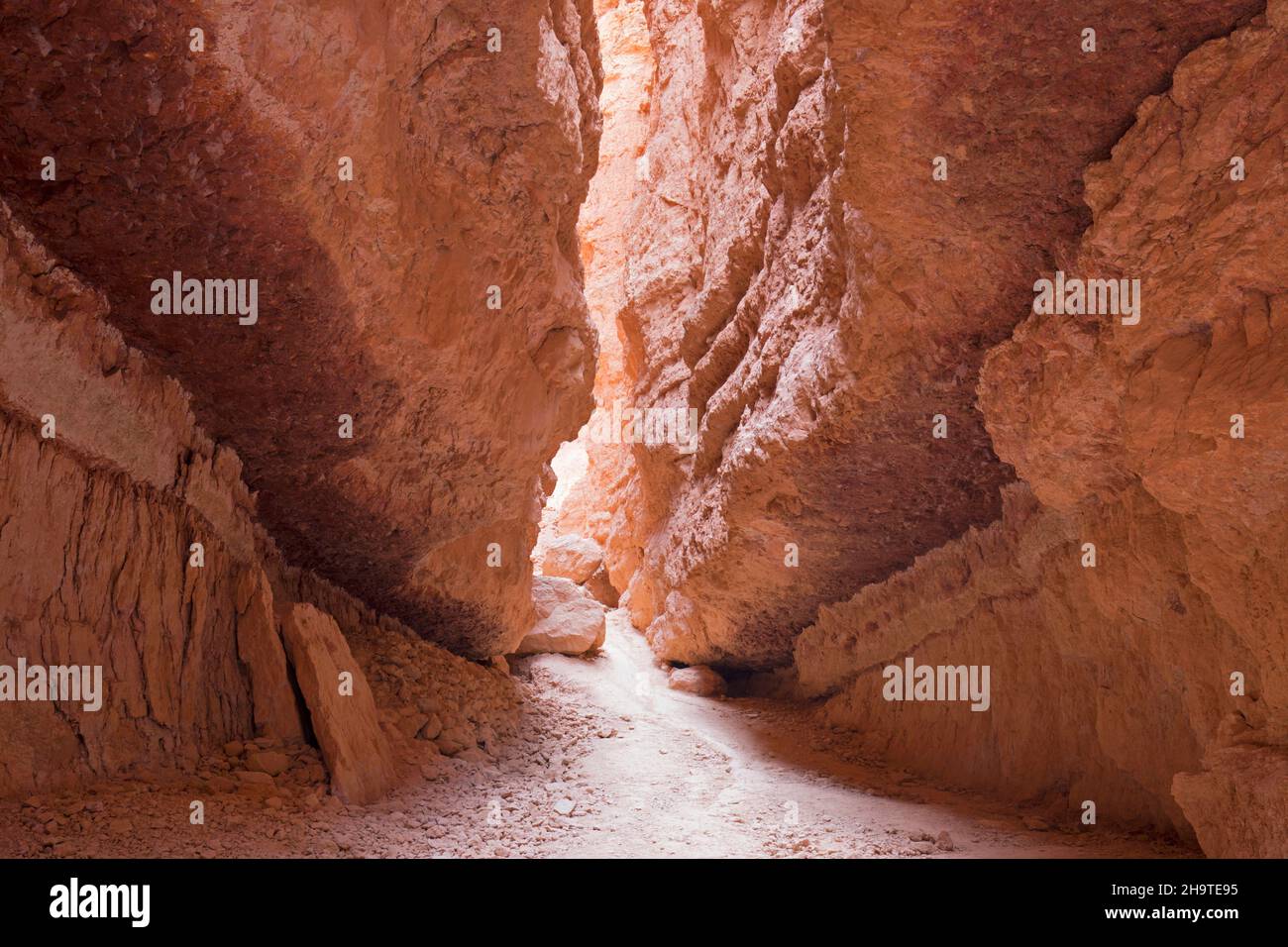 Bryce Canyon National Park, Utah, USA. Enclosed path between the steep ...