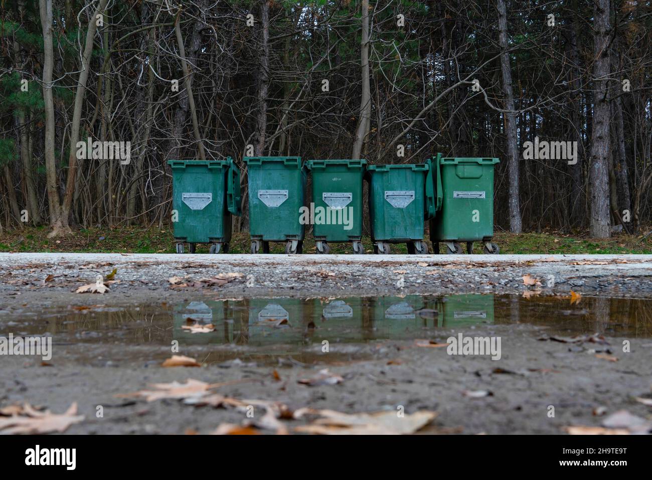 Green garbage containers in the forest in a row Stock Photo - Alamy