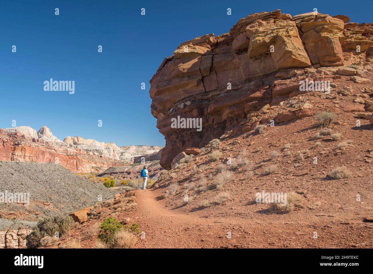 Fruita, Capitol Reef National Park, Utah, USA. Hiker on the Fremont ...