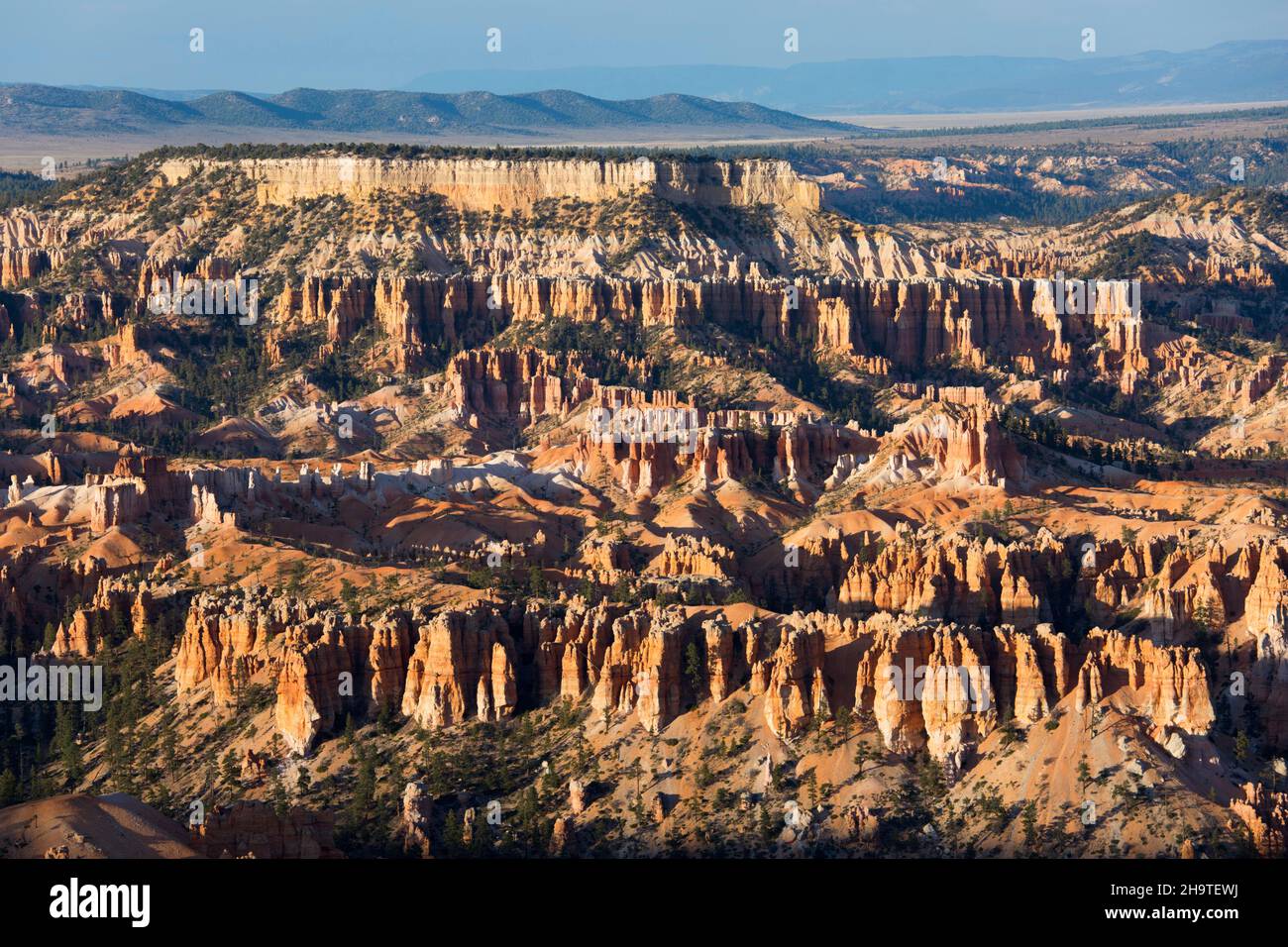 Bryce Canyon National Park, Utah, USA. View across Bryce Amphitheatre ...