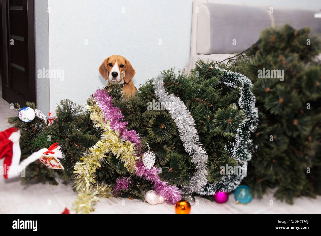 Knocked over tree hi-res stock photography and images - Alamy