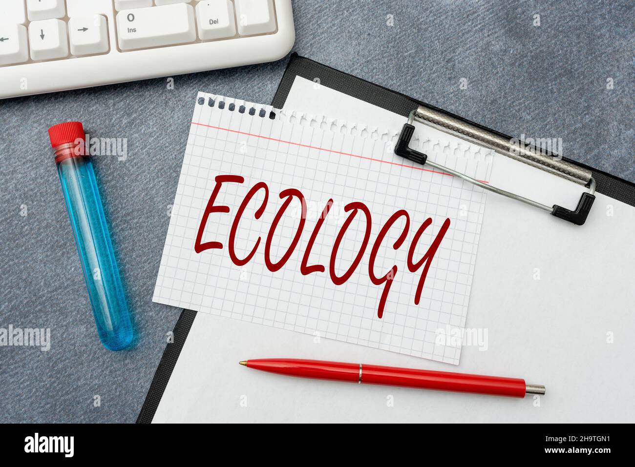 Conceptual display Ecology. Business concept Branch of science relation ...