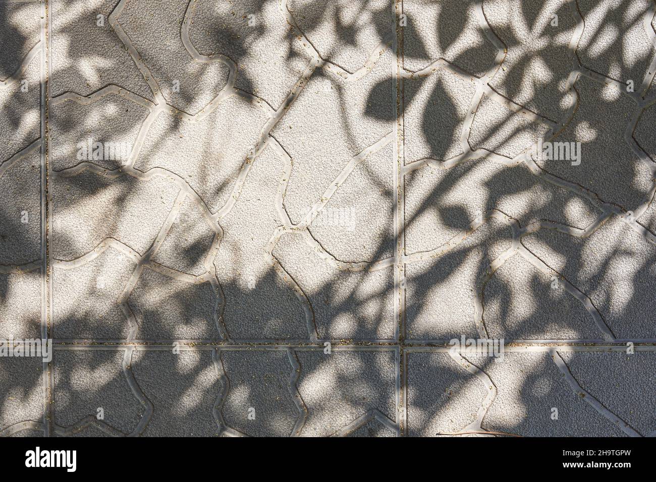 Abstract neutral background hi-res stock photography and images - Alamy