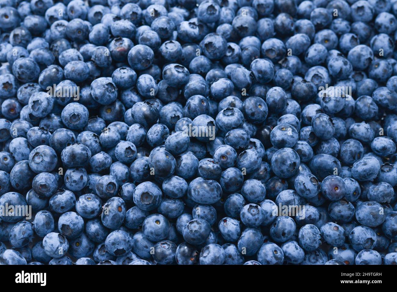 Blueberry texture hi-res stock photography and images - Alamy