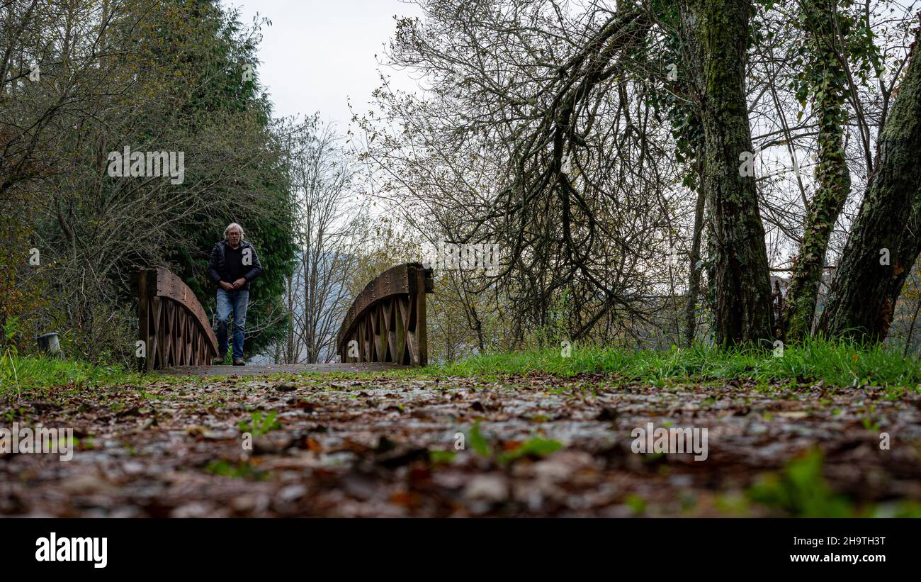 Caminar bosque hi-res stock photography and images - Alamy